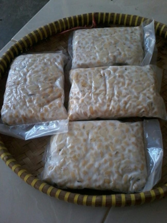 Ce que tu dois absolument savoir sur le tempé (tempe, tempeh kedele ...